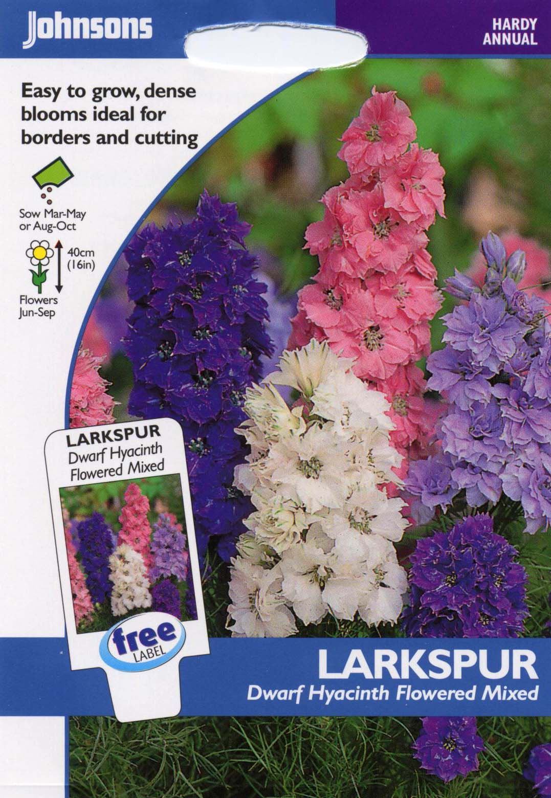 Johnsons pictorial Pack Flower Larkspur Dwarf Hyacinth Flowered Mixed ...