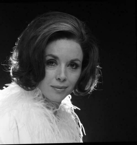 Dana Wynter Beautiful Striking Glamour Pin Up Photo Oiginal 2.25 x 2.25 ...