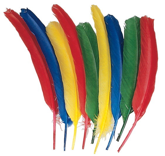 School Smart Non-Toxic Long Colored Quill 10 - 12 in Multi-Color Pack ...