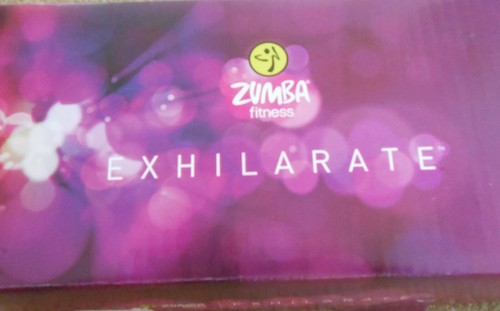 Zumba Exhilarate Toning Sticks 5 DVD Set Dancing Dance Latin Fitness ...