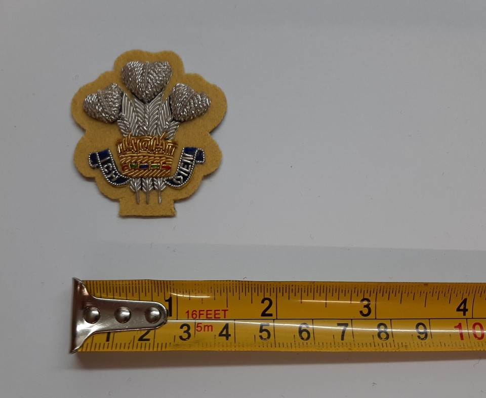 RSDG Insignia ICH DIEN British Army Officer Royal Scots Dragoon Guards ...