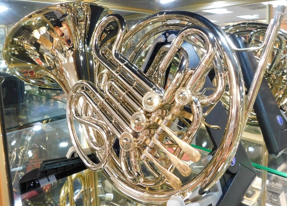 Conn 8D Professional Double French Horn with Case - Clear Lacquer | eBay