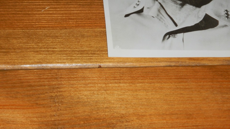 JAMES CAGNEY PHOTO VINTAGE 1962 4 1/2 X 7 ADMIRAL WM. F. BULL HALSEY | eBay