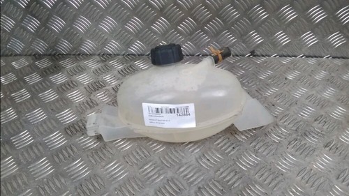 VASE D'EXPANSION Renault Megane III Berline (BZ) 2020 217100015R | eBay