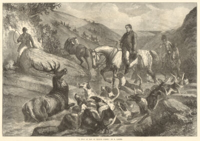 "A stag at bay on Exmoor Forest", by S. Carter 1871 old antique print ...