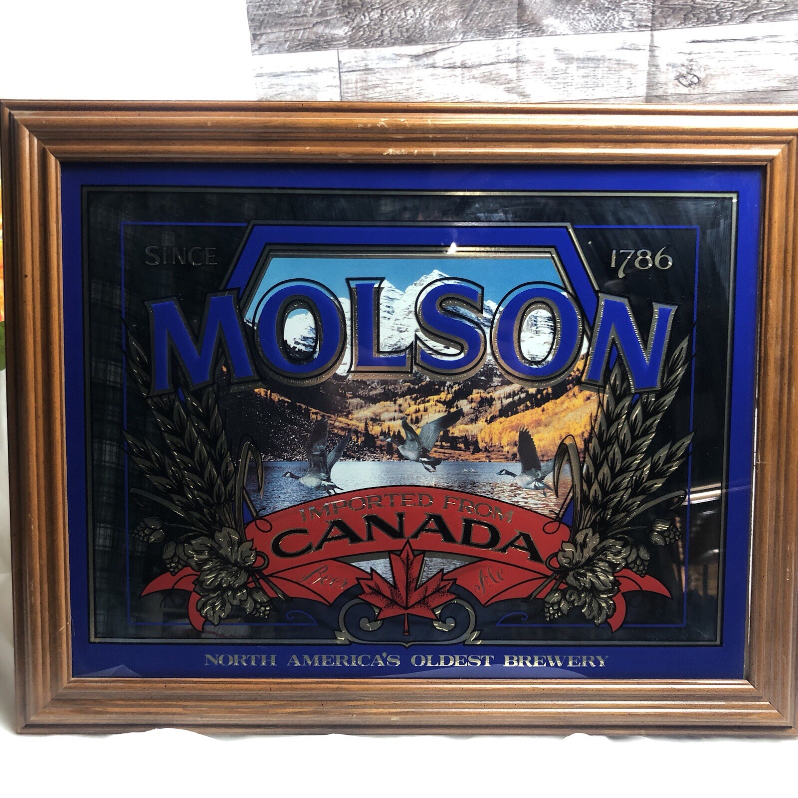 Molson Beer Ale Imported From Canada Mirrored Bar Sign w/ Frame 15.5” x ...