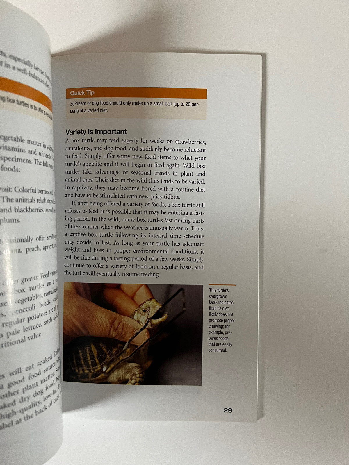 Herpetocultual Library: The Box Turtle Manual by Roger J. Klingenberg ...