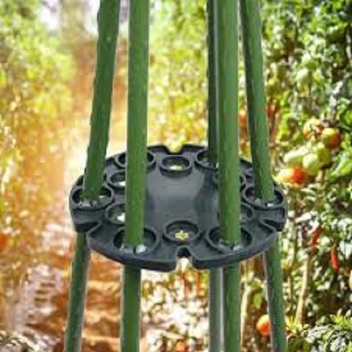 Bamboo Cane Support Garden Wigwam Wig Wam For Beans Peas Sweet Peas ...