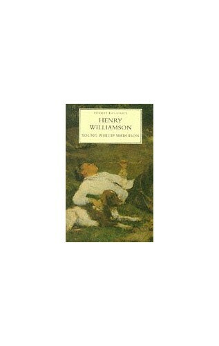 Young Phillip Maddison (Pocket Classics S.) by Williamson, Henry ...