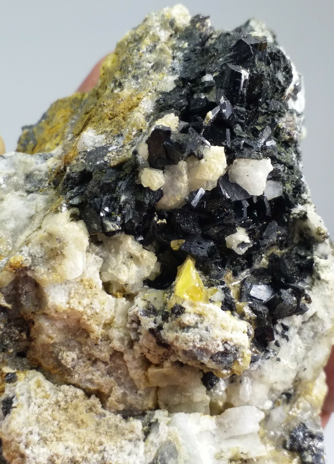 Allanite-(Ce) with melanite garnet & Yellow sphene crystal on matrix ...