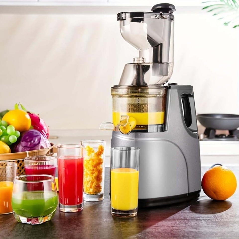 300W Electric Juicer Extractor Machine Slow Masticating Fruit ...
