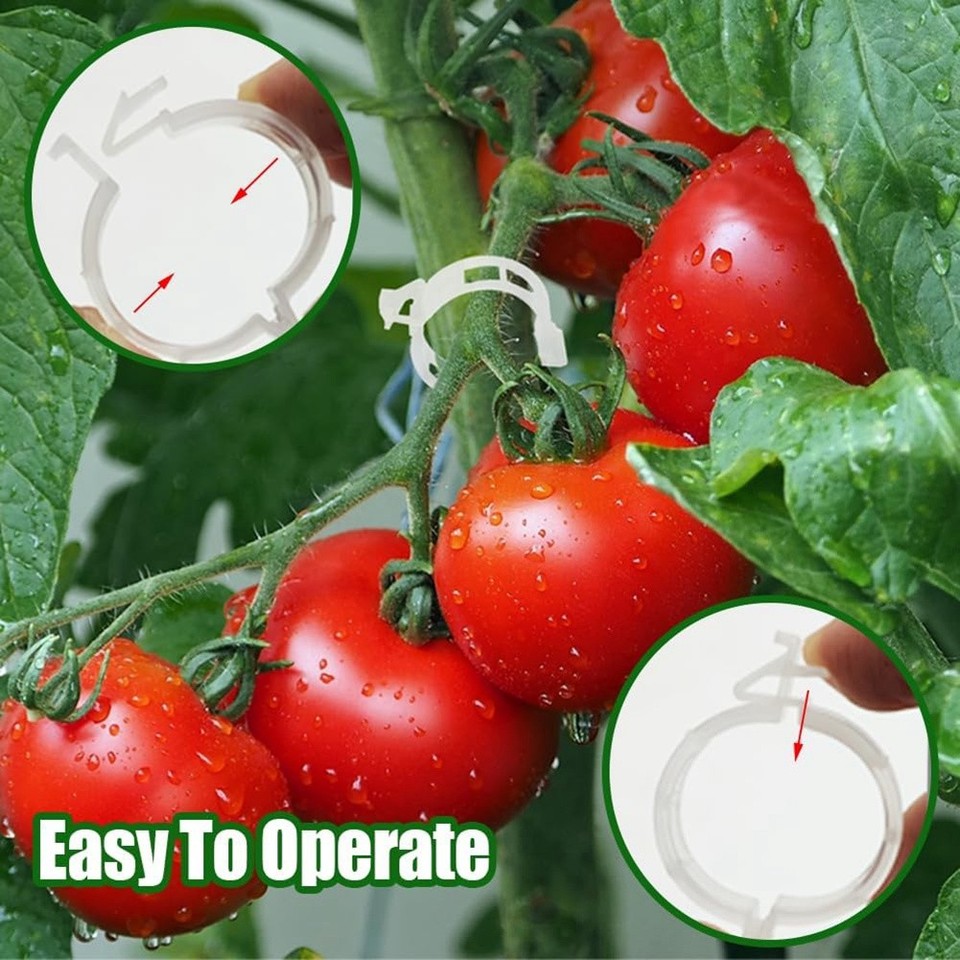 Tomato Hooks with String, Tomato Support Hook for Climbing Plants ...