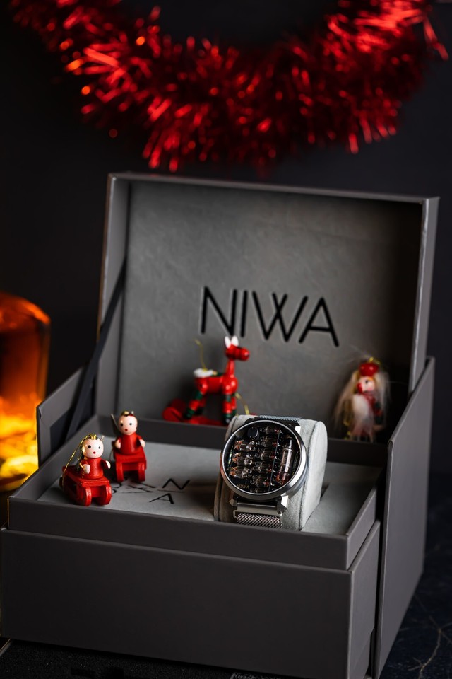 NIWA Lunokhod watch. Titanium Neptune case. | eBay