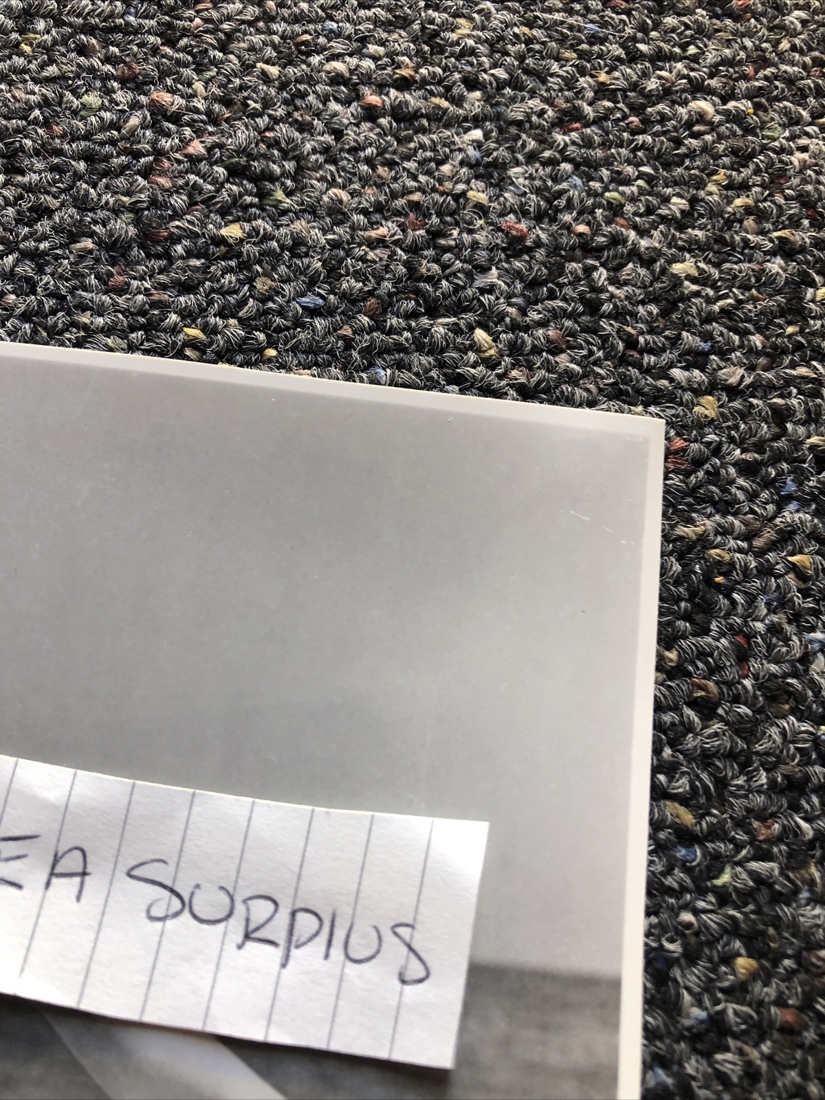 RARE Original Photo Of ARLENE HUNTER At The Beach 8.5”x7.5” | eBay