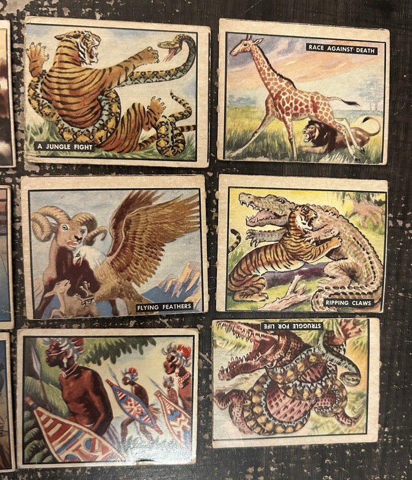 1950 Topps Freedom War Cards & 1950 Bring Em Back Alive Cards/ 6@ Or 12 ...