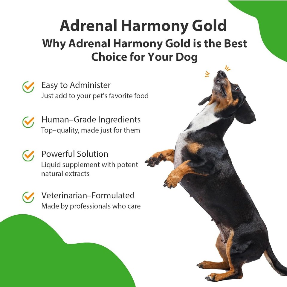 Pet Wellbeing Adrenal Harmony Gold for Dogs 2 oz. | eBay