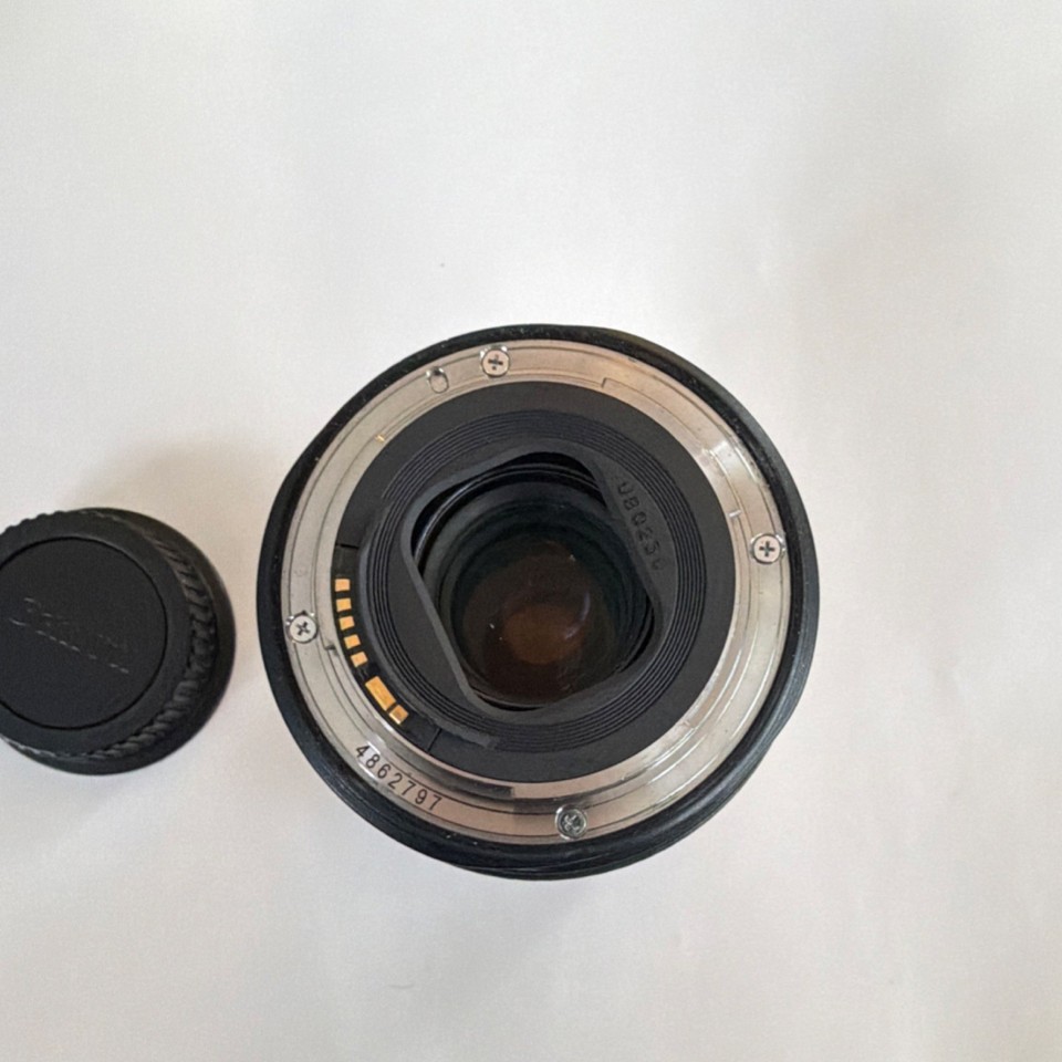Canon EF 24-105mm f/4L IS USM Zoom Lens Image Stabilizer USM 77mm ...