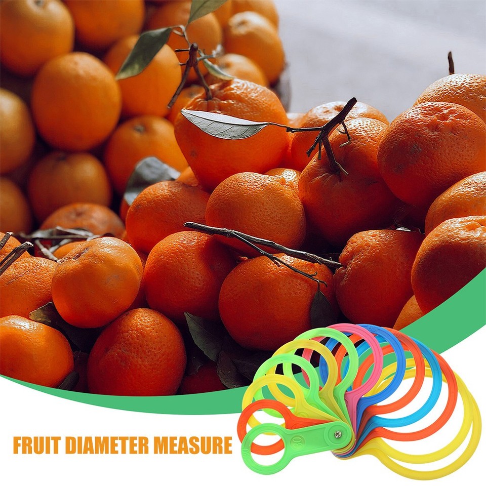 2 Pcs Plastic Fruit Diameter Measuring Citrus Size Gauge Tool for ...
