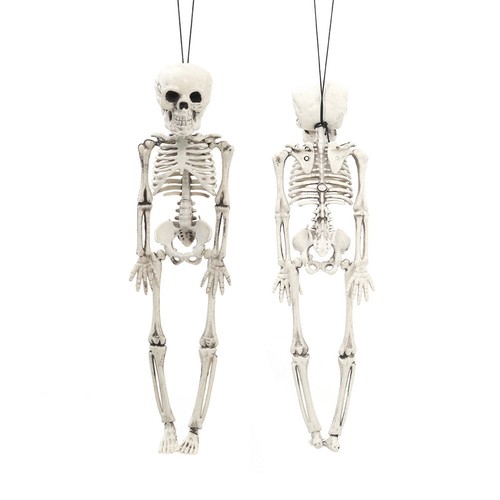 Full Size Halloween Skeleton Haunted House Poseable Human Skeleton Prop ...