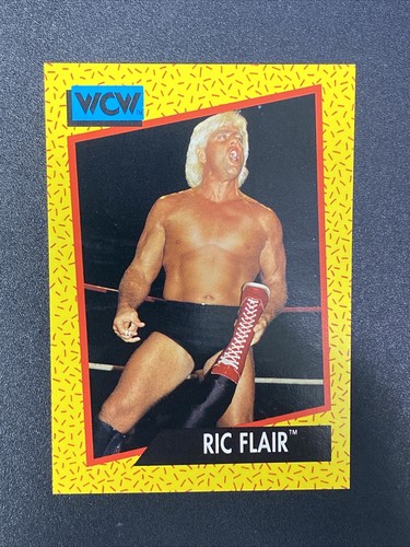 Ric Flair 1991 Impel WCW Wrestling Trading Card - #47 - The Nature Boy ...