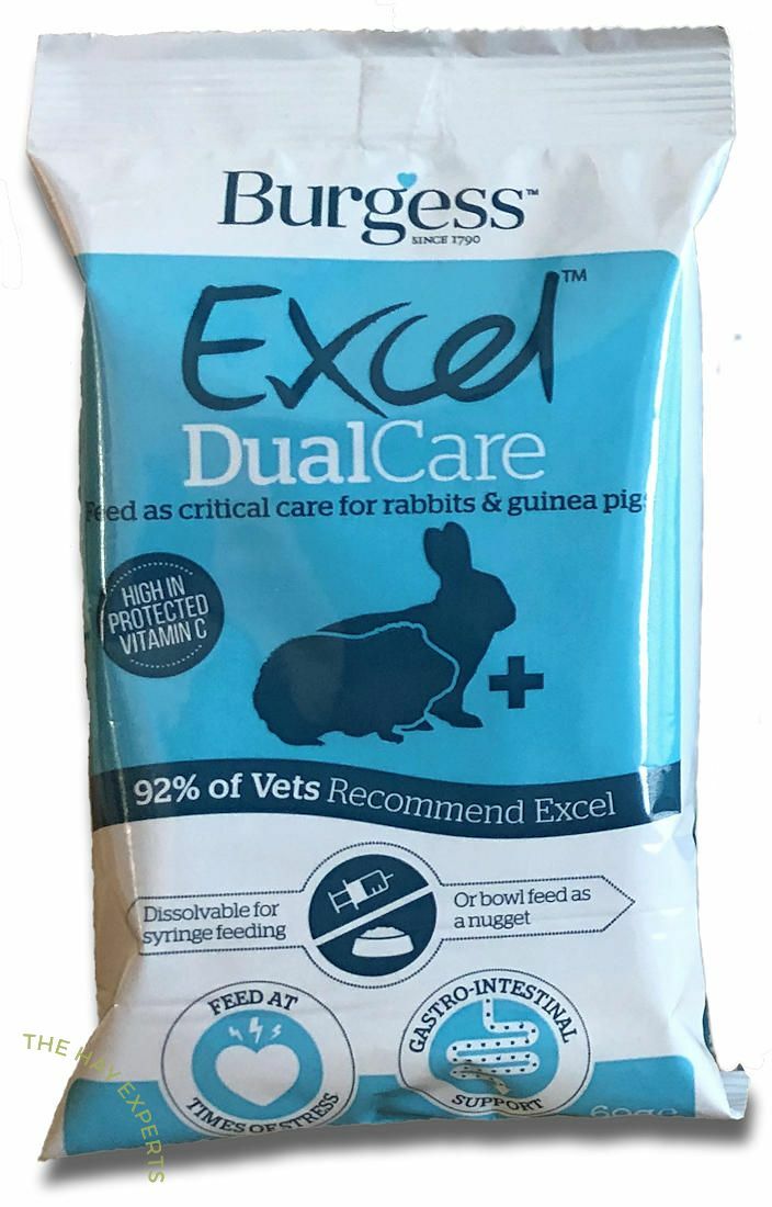 Burgess Excel Dualcare Sachets 60g Critical Care Rabbit Guinea Pig Exp ...