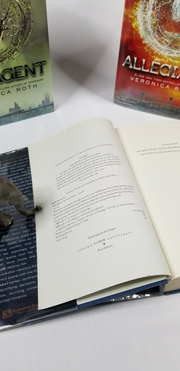 Fictional Map Of Chicago Divergent