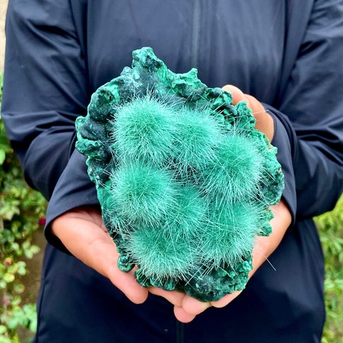 1.1LB indian dandelion zeolite+glossy Malachite cat's eye Mineral ...