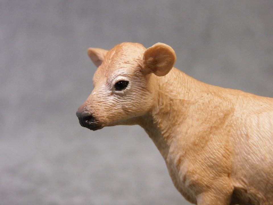 CollectA NIP * Jersey Calf * 88983 Breyer Baby Milk Cow Model Toy ...