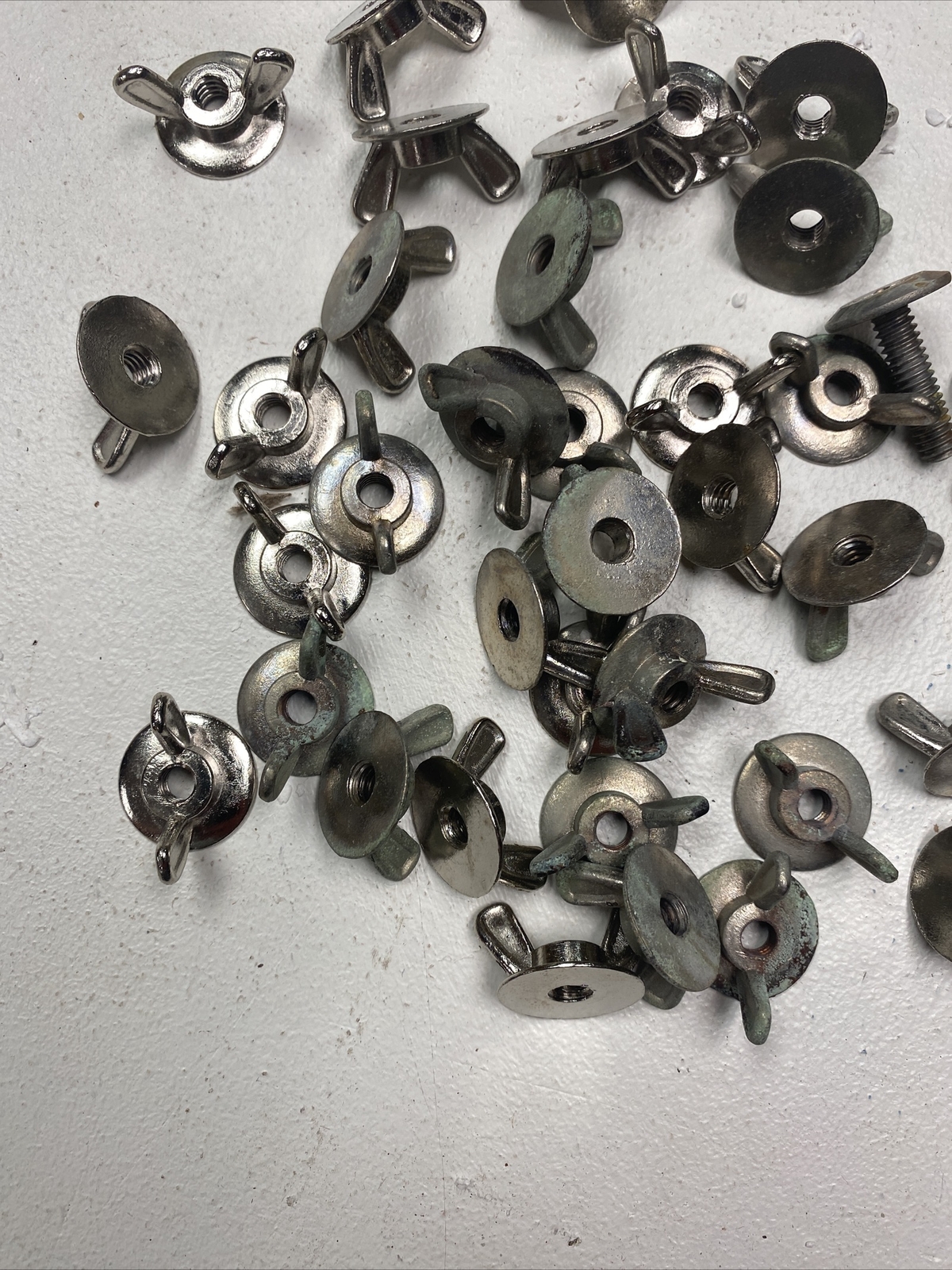 Hurricane Shutter Hardware Lot Of 36 Washer Wing nuts And 33 Flat Head ...