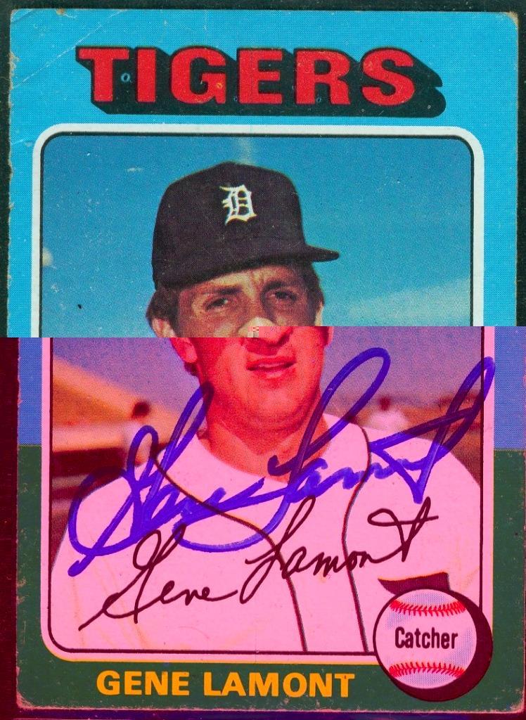 Original Autograph of Gene Lamont of the Detroit Tigers on a 1975 Topps ...