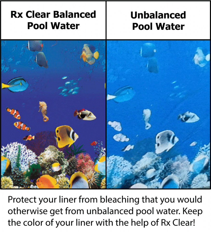 Rx Clear Stabilized Chlorine Tabs and Super Shock Kit (Various Options ...