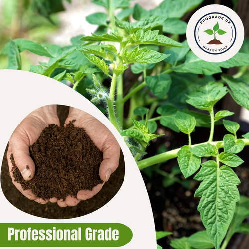 Tomato Seed Compost - Peat Based for Professional Results (No Recycled ...