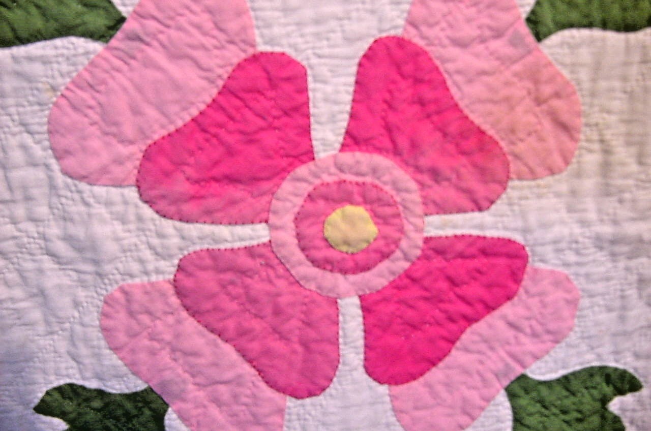 ANTIQUE APPLIQUE OHIO ROSE QUILT SWAG BORDERS MORE QUILTS IN OUR STORE ...