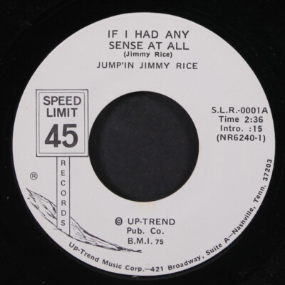 JUMPIN' JIMMY RICE: i bleed a little bit more / if i had any sense at ...