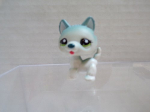 Littlest Pet Shop~#1563~Husky~Dog~Standing~White Ice Blue~Green Dot ...