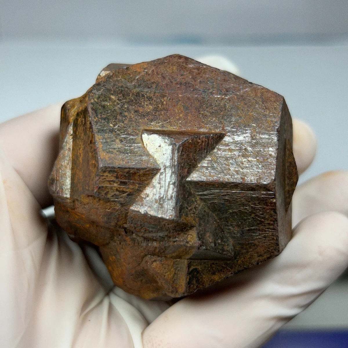 Colombian Twin Models