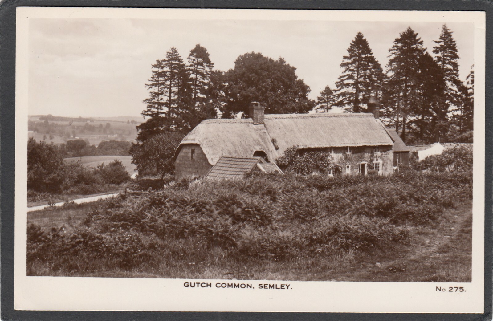 Postcard Semley in Wiltshire nr Shaftesbury in Dorset view of Gutch ...