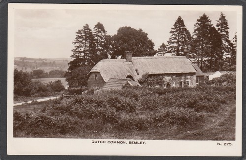 Postcard Semley in Wiltshire nr Shaftesbury in Dorset view of Gutch ...