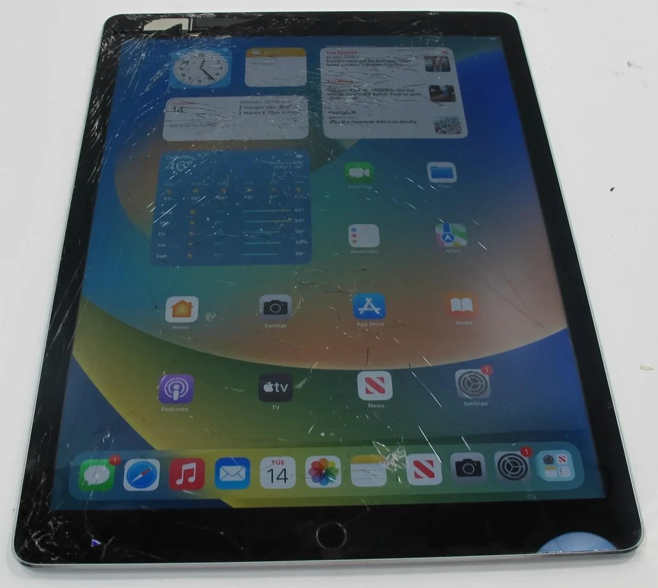 Apple iPad Pro 1st Gen A1652 128GB 12.9" Wi-Fi + Cellular ML3L2LL/A | eBay