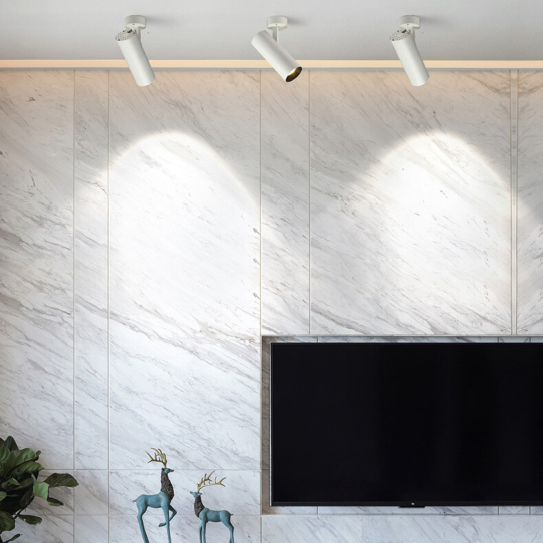 LED COB Ceiling Wall-Back Light Adjustable Lamp Picture Focus Spotlight ...