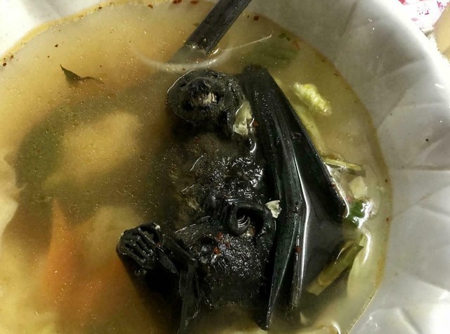 BAT SOUP GLOSSY POSTER PICTURE PHOTO BANNER PRINT nasty gross food ...