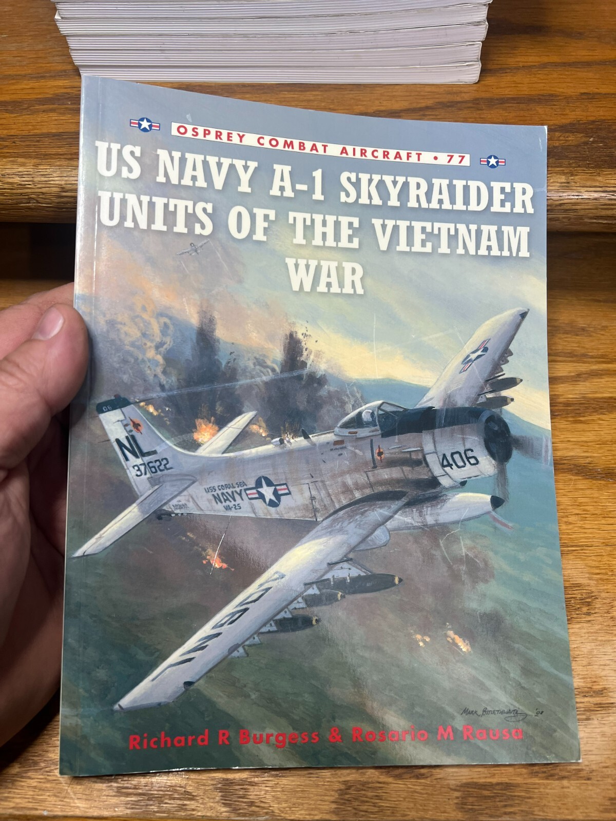 Osprey Combat Aircraft #77 US Navy A-1 Skyraider Units of the Vietnam ...