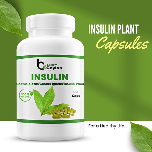 Insulin Plant Leaves Costus Igneus Blood sugar Sup 900 Capsules 500mg ...