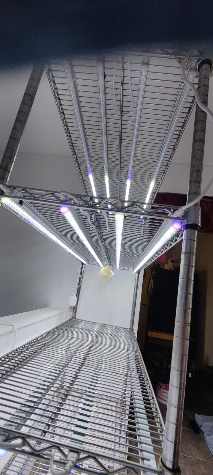 Lost Coast Lights 2 Pack 2ft LED CLONE LIGHTS | eBay