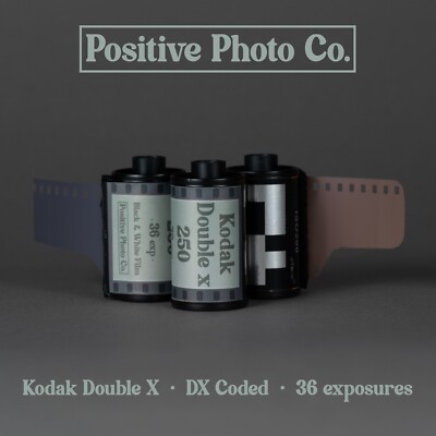 Kodak Double X Black & White 35mm Film - ISO 250 - 36 Exposures - DX ...