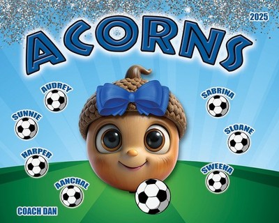 Acorns -Soccer Team Banner - (3ft x5ft) Your Team Name and Custom ...