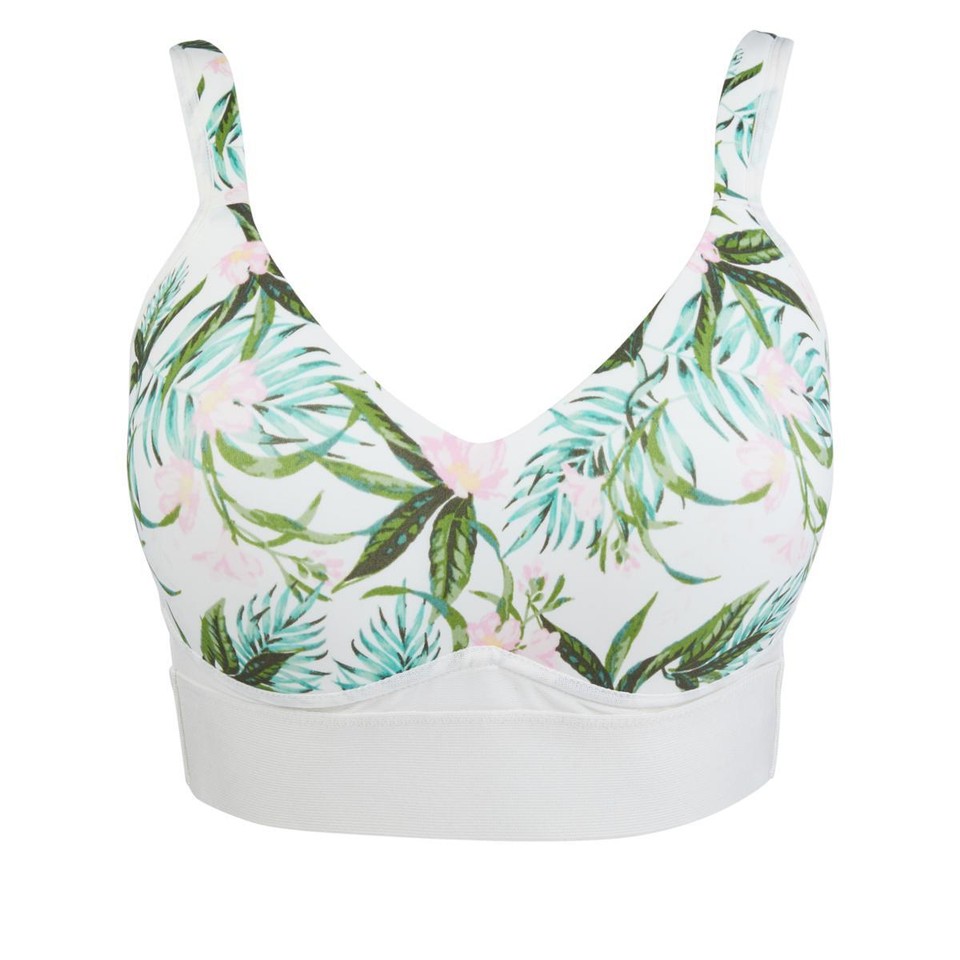 Rhonda Shear 2-pack Molded Cup Bra with Mesh Back Detail, 732-406 ...