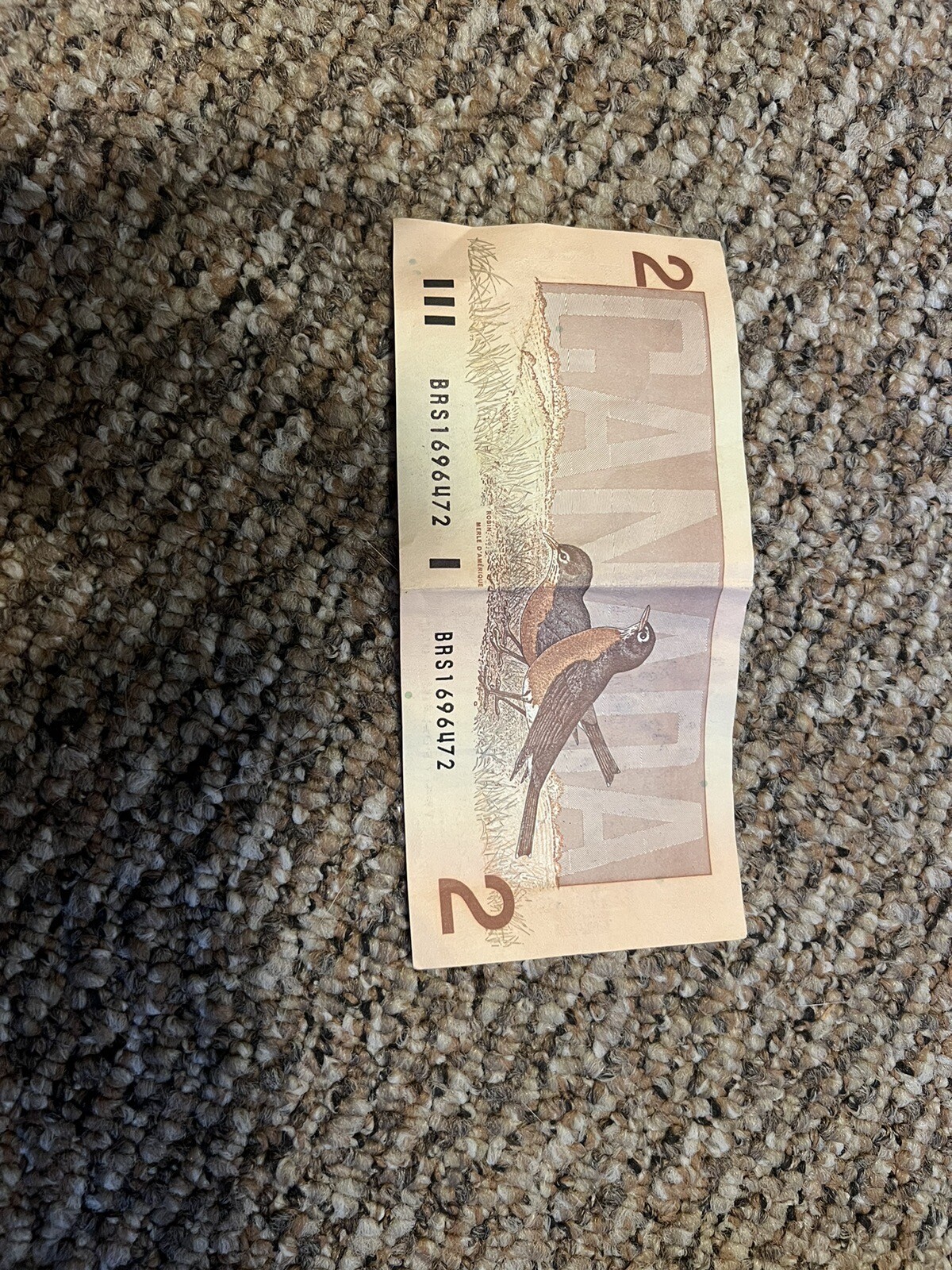 1986 canadian $2 bill Signed By Willie Pless “The Terminator” & Gizmo ...