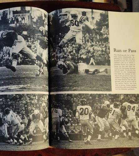 The Pros by Robert Riger 1960 First Printing, History of NFL, Excellent ...