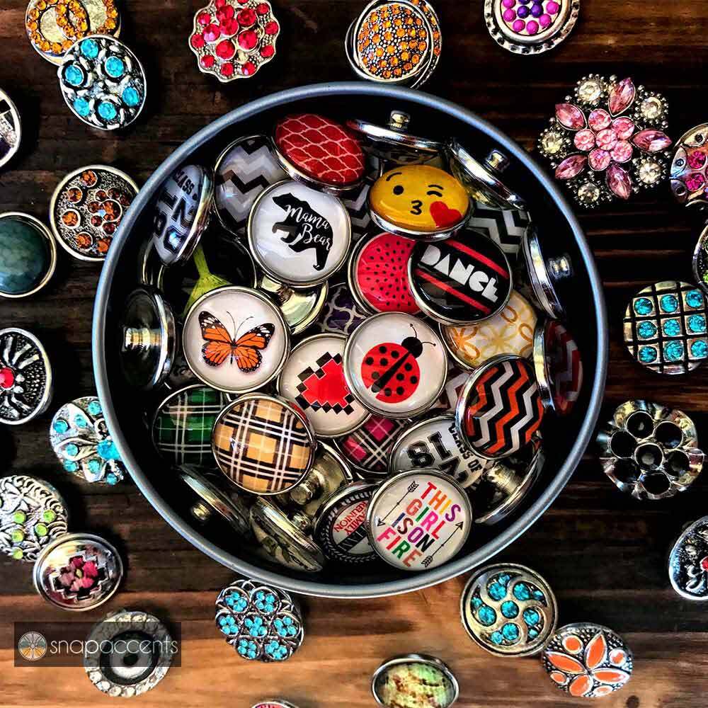 Leather 8 in. Magnetic Snap Jewelry Ginger Charm Bracelet Fits 18MM ...